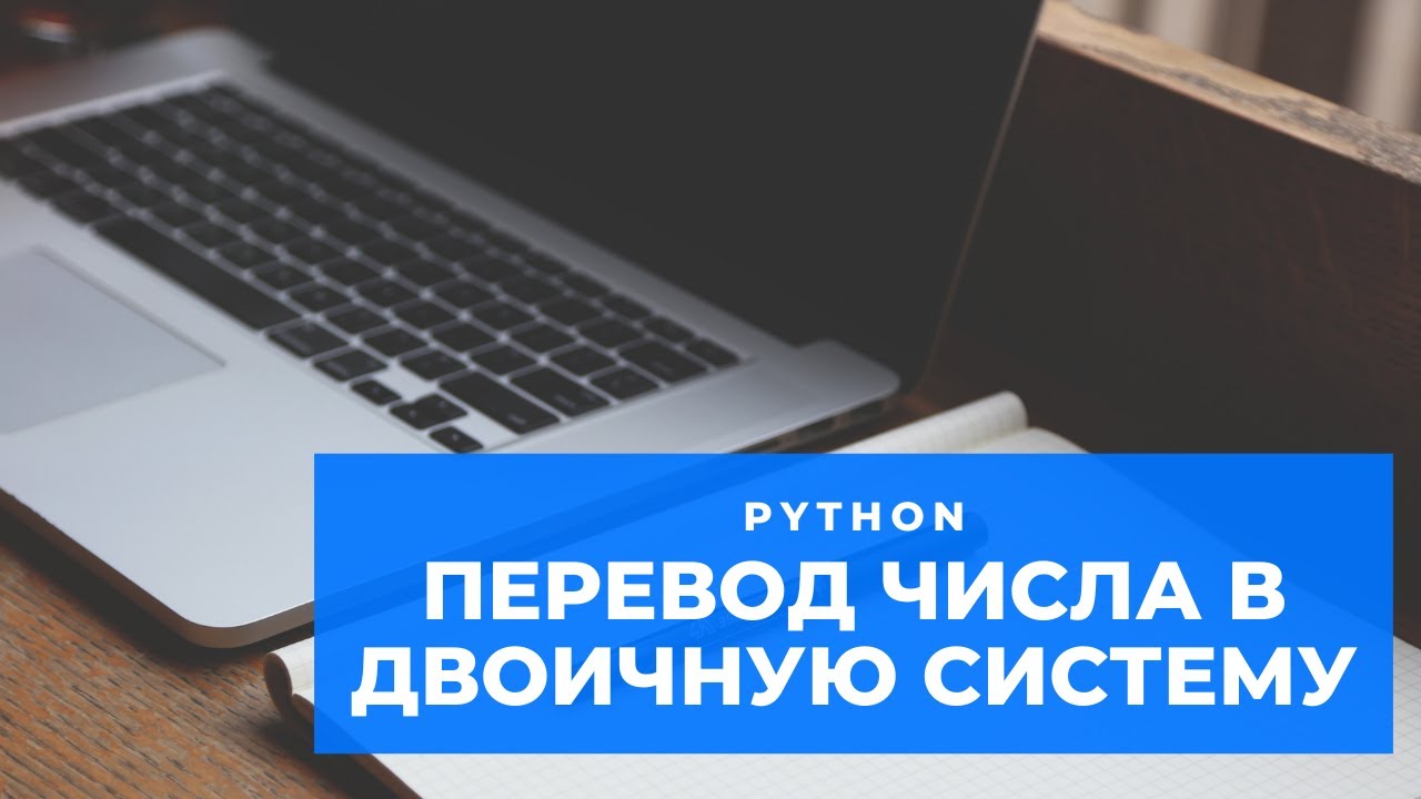 Перевод числа в двоичную систему счисления (Алгоритмы Python) - YouTube