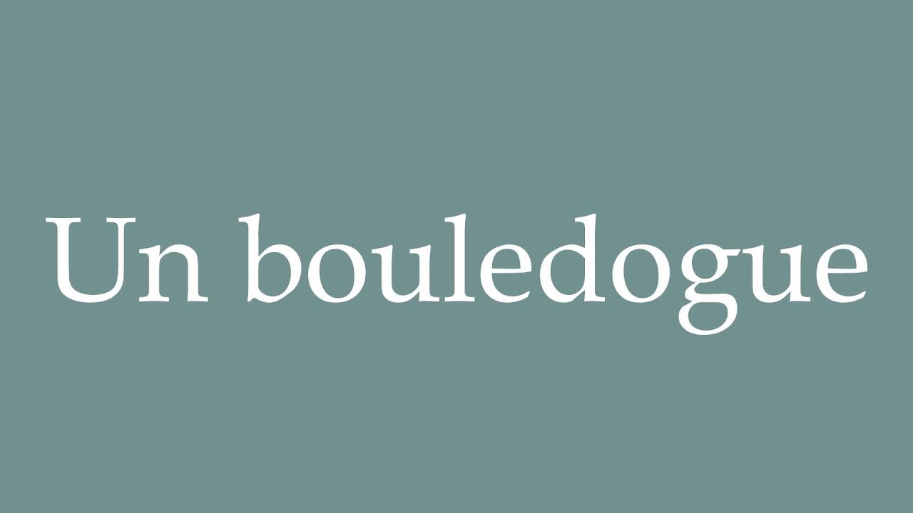 How to Pronounce ''Un bouledogue'' (A bulldog) Correctly in French ...