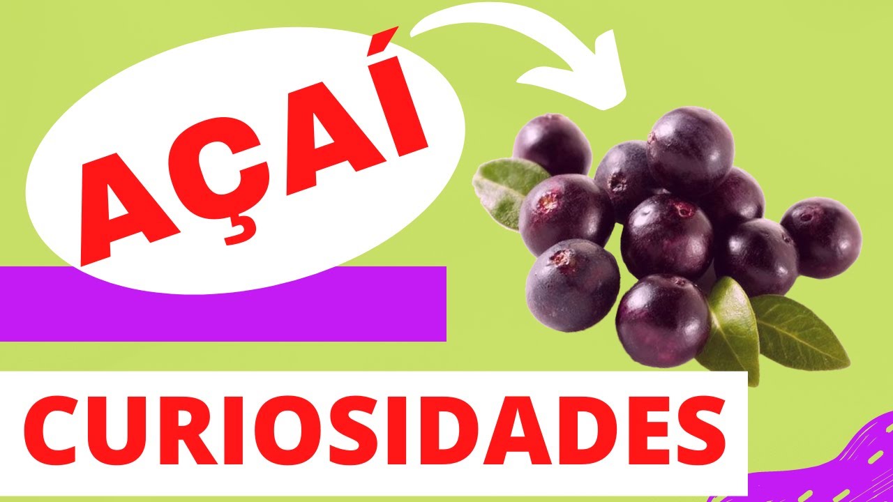 flor açaí um fruto, com sabor e saúde ótimo para o corpo, quando puro ...