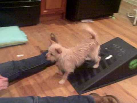 Carla Ramp - 1st Try - YouTube