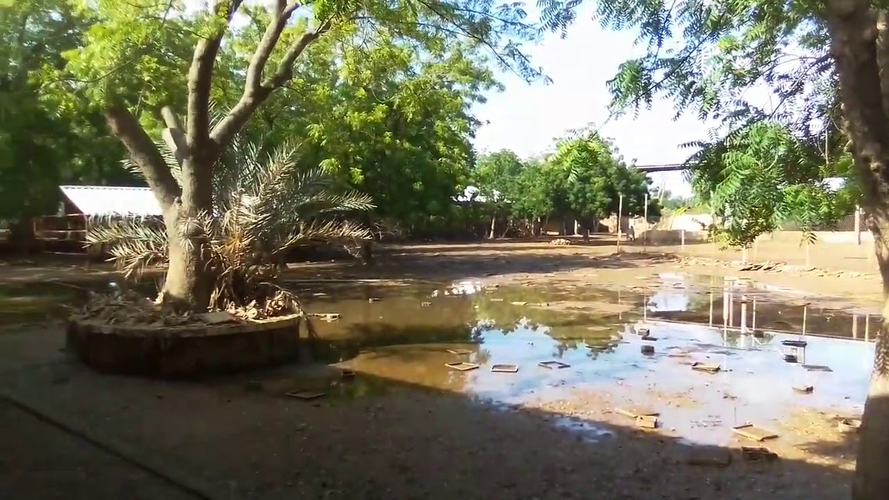 Sahel Flood Damage Video 2 - YouTube