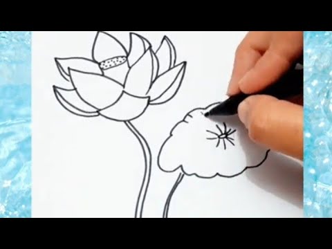 cara menggambar bunga teratai | drawing lotus - YouTube