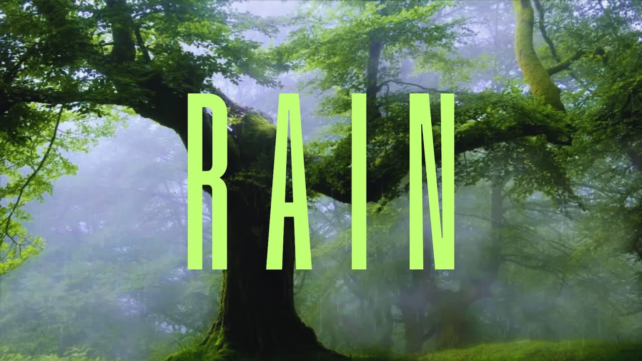 "Rain" | Piano and Rain Meditative Ambient Soundscape - YouTube