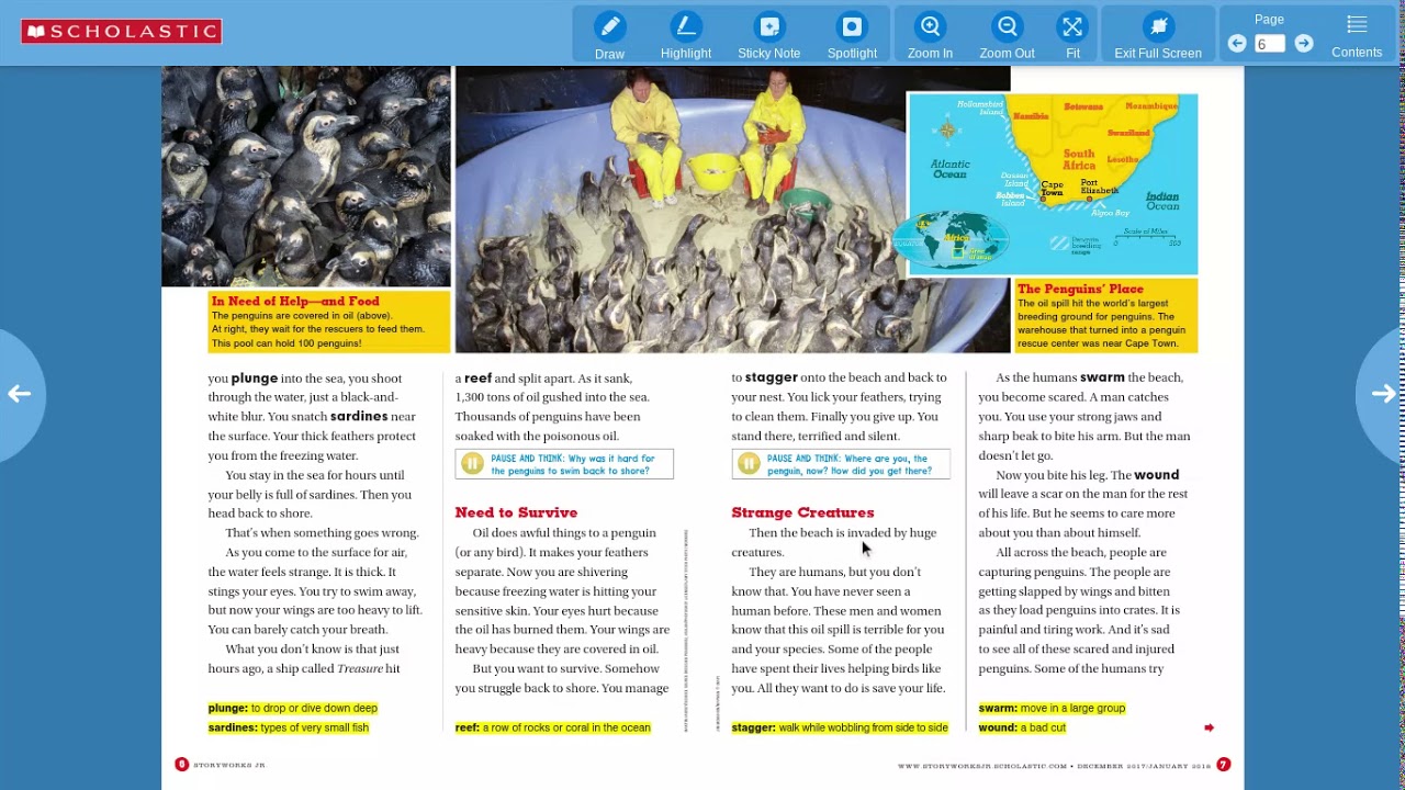 The Amazing Penguin Rescue - YouTube