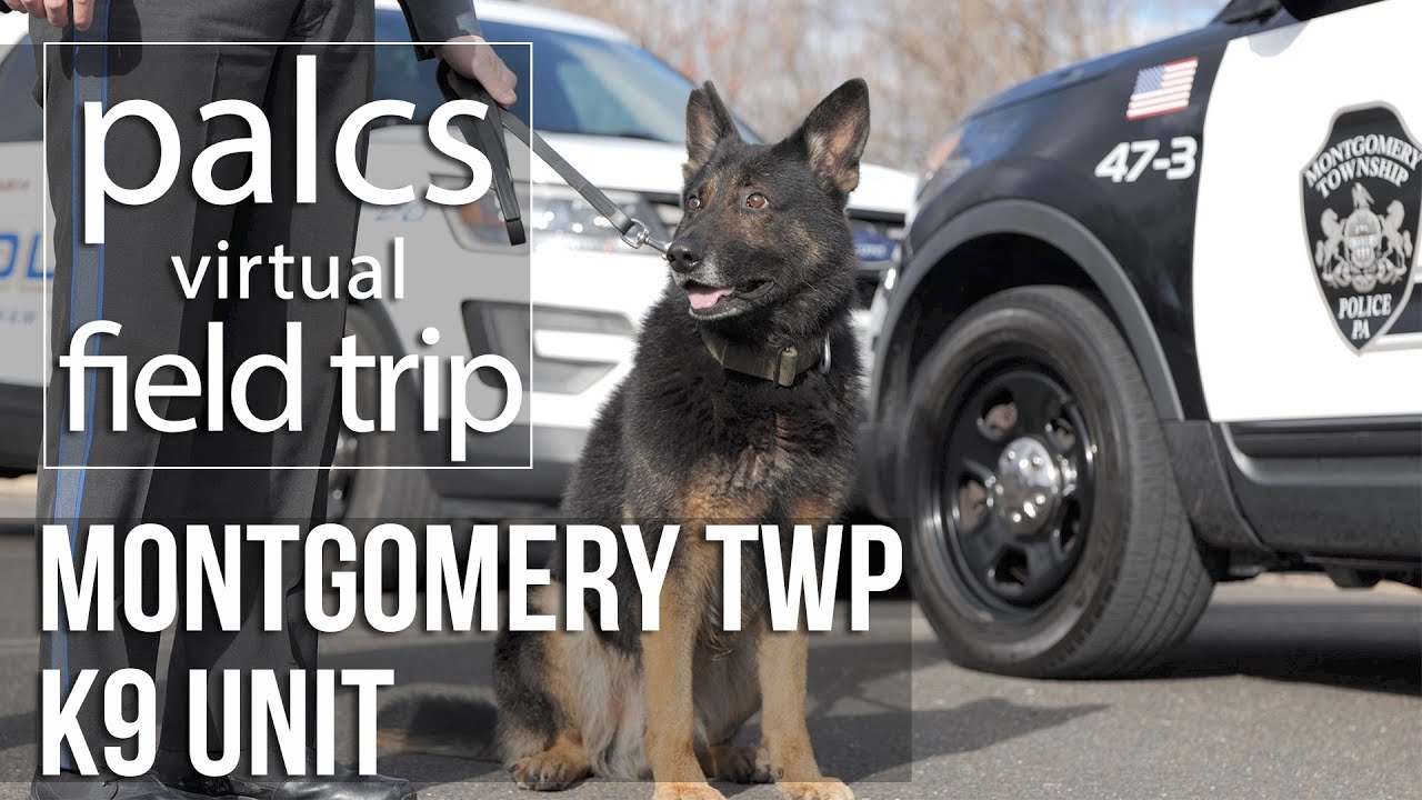PALCS Presents - A Virtual Field Trip: The Montgomery Township K9 Unit ...
