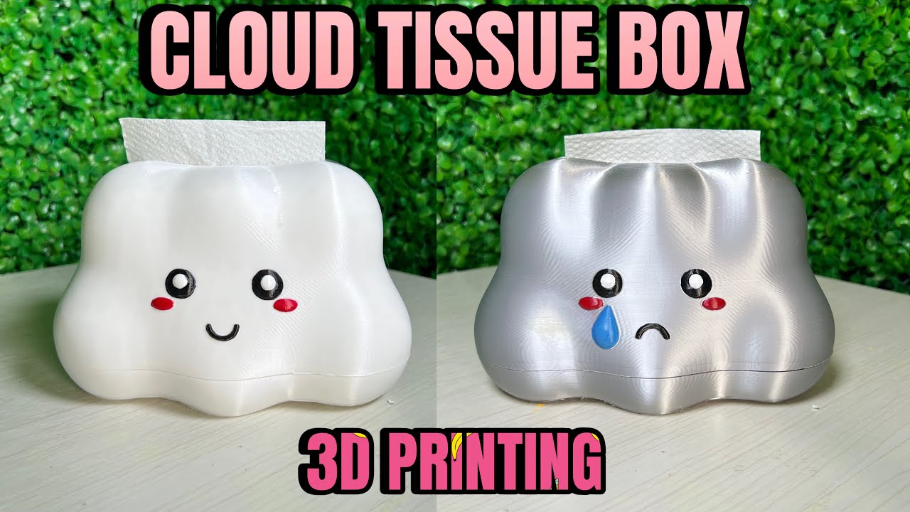 Cute Cloud Tissue Box 3D Printing - YouTube