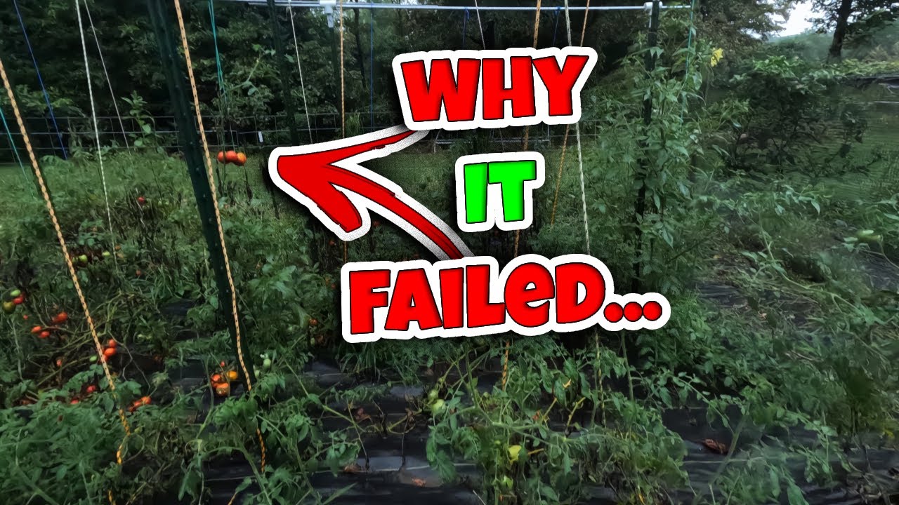 Why My Garden Failed So Badly - YouTube