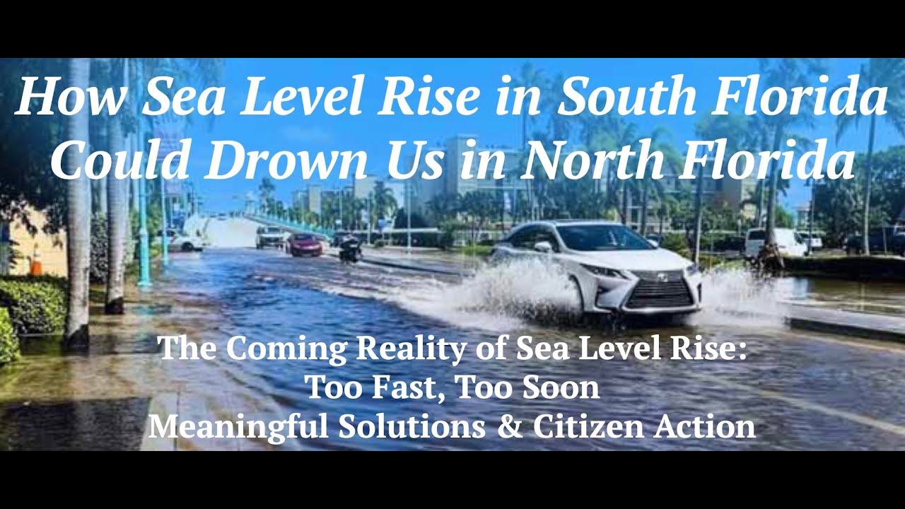 Harold Wanless Heat - YouTube