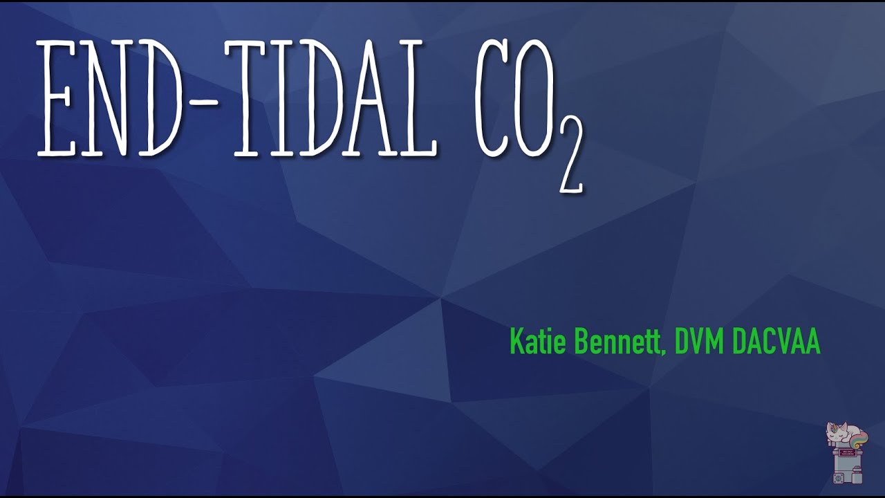 Level 2 (intermediate): End-Tidal CO2 - YouTube