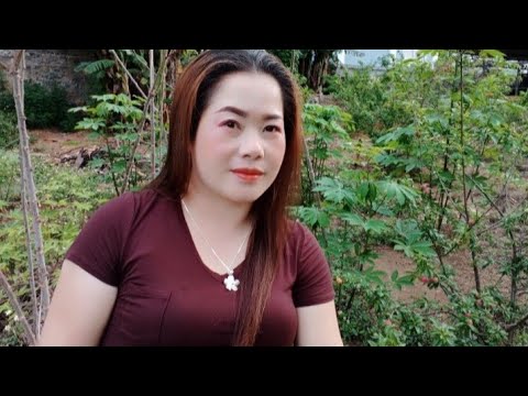 Aim poj suav aim paum tsis zoo nyob cuag aim qhav 16/06/2023 - YouTube