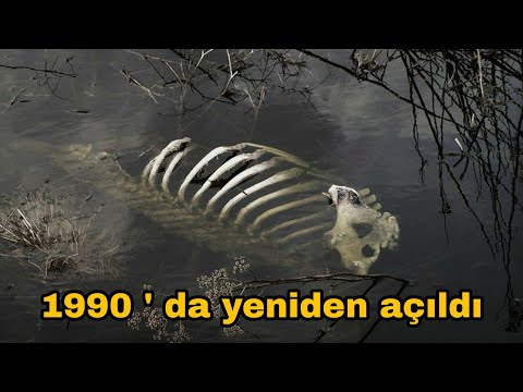 Rusya'nın insan Deneylerinde Bir mahkûm olsaydınız. 1990 da başlanan o virüs ve mahkumlar....