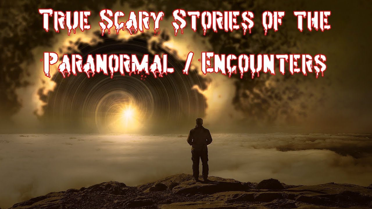 5 True Scary Paranormal and Encounter Stories - YouTube