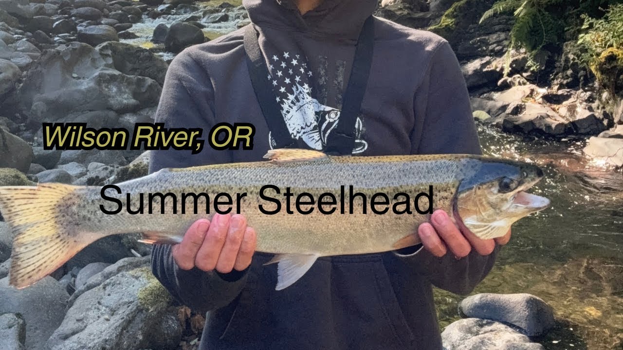 Summer Steelhead, Oregon! - YouTube