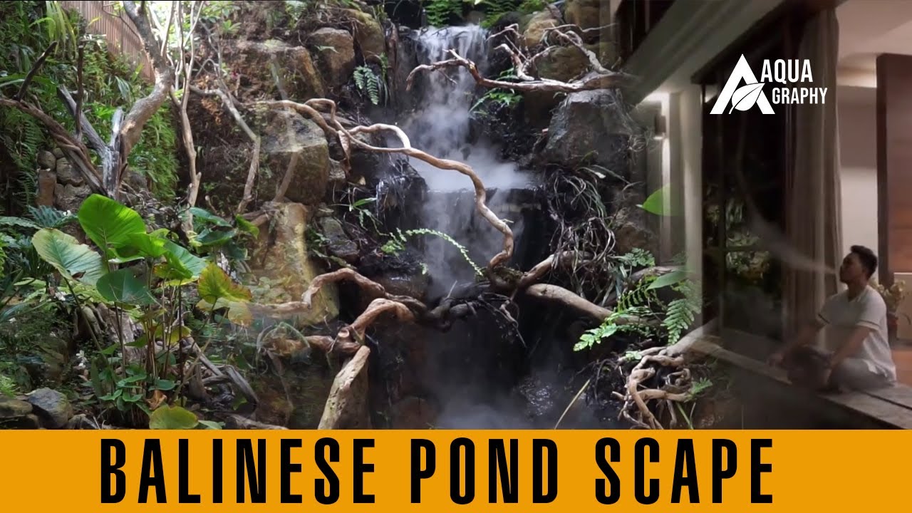 BALINESE POND SCAPE - YouTube