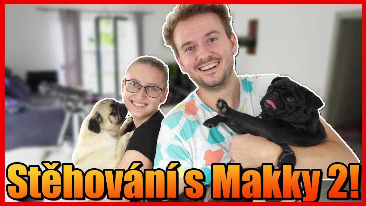 STĚHUJEME ZVÍŘATA?😱 STĚHOVÁNÍ S MAKKY 2!🔥🤣#3 w/@Makousek - YouTube