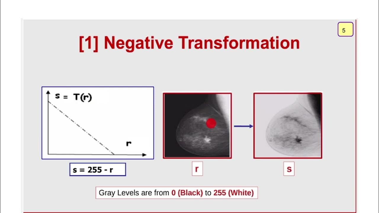 [10] Image Enhancement Before Visualization Part I - YouTube