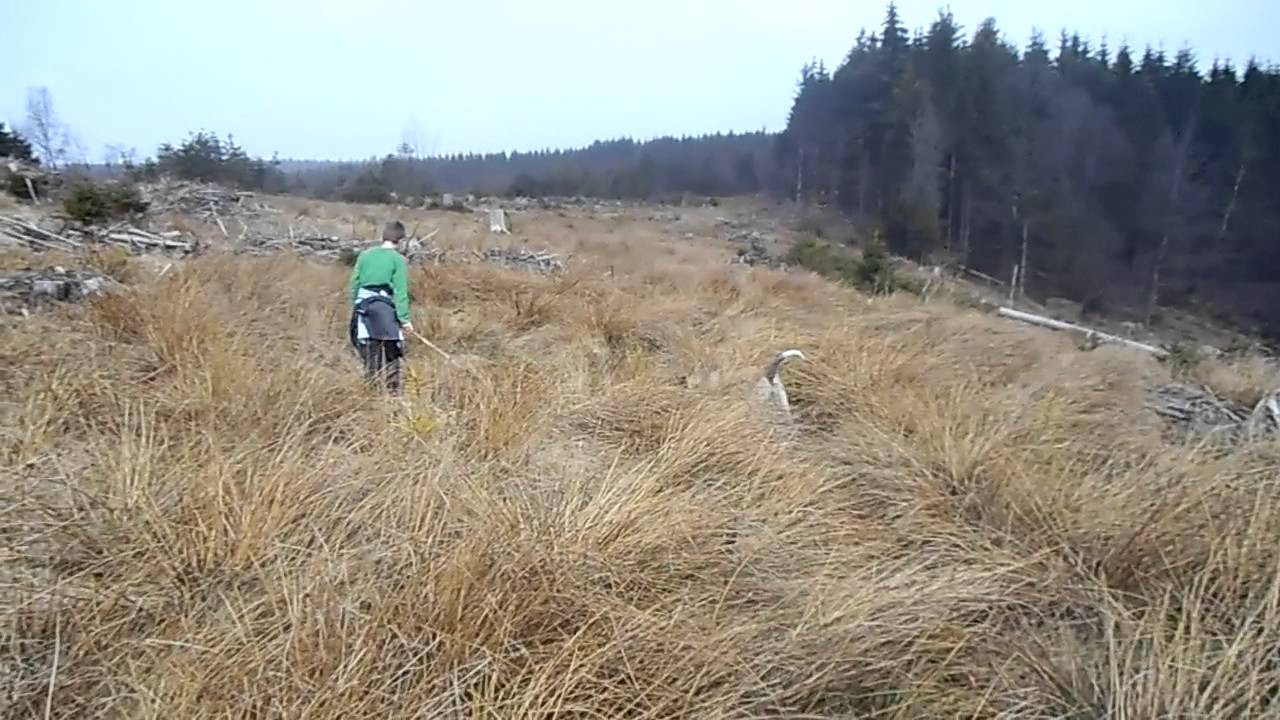 Tito loves the Belgian Highlands! - YouTube