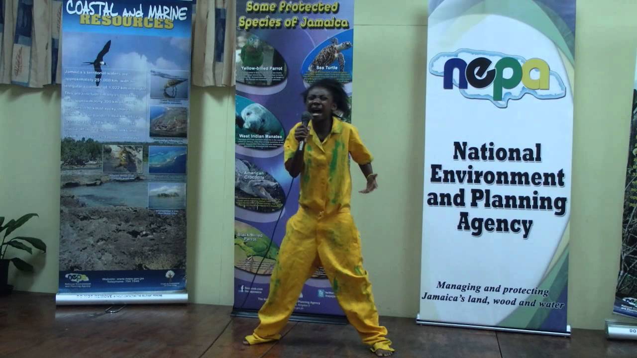 Anchovy High School | Protect the Environment Macheleko Bell - YouTube