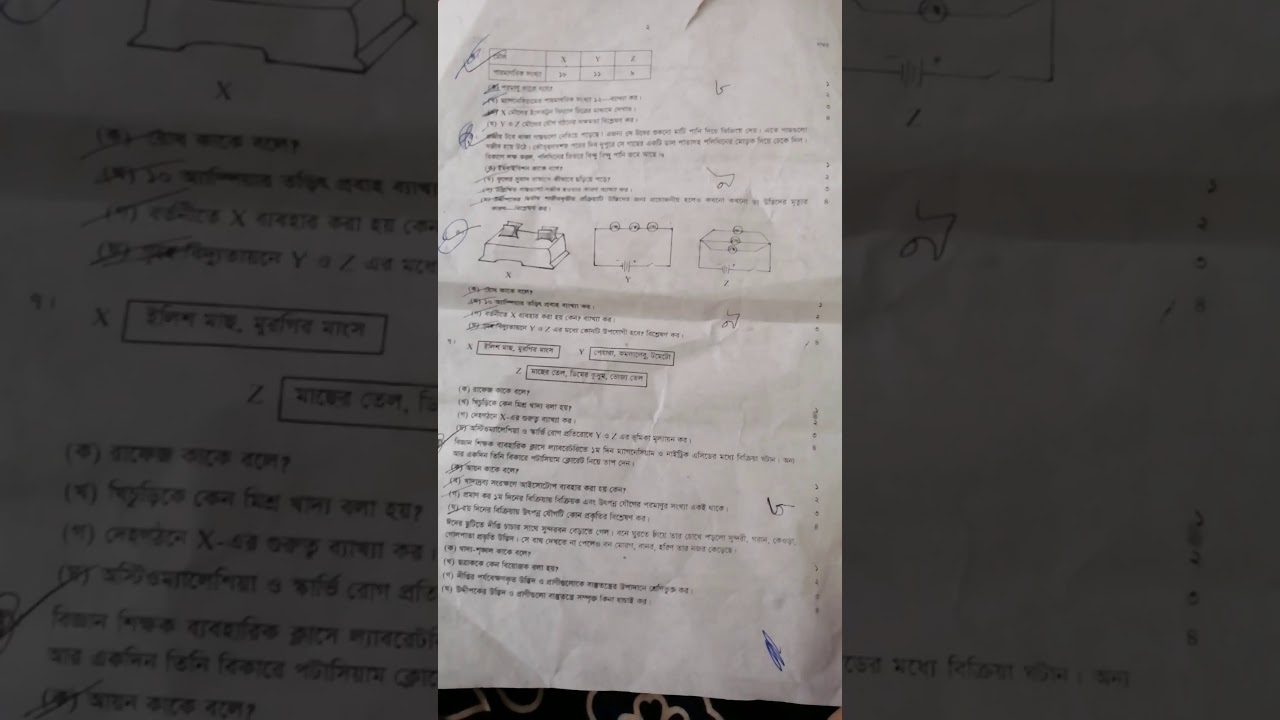 JSC Questions Out 2019|| Original ||2019||Science - YouTube