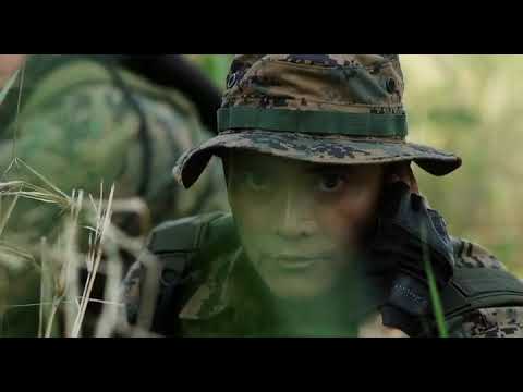 Operation Rogue