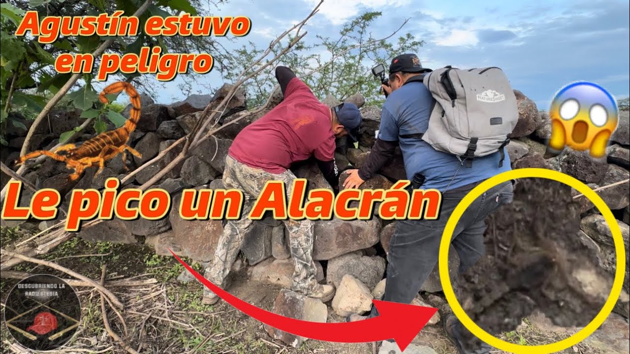 Agustín fue picado por un Alacrán - YouTube