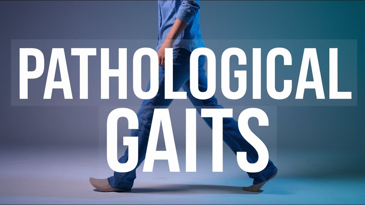 10 Pathological Gaits Explained! | Causes, Symptoms, and Phases of Gait ...
