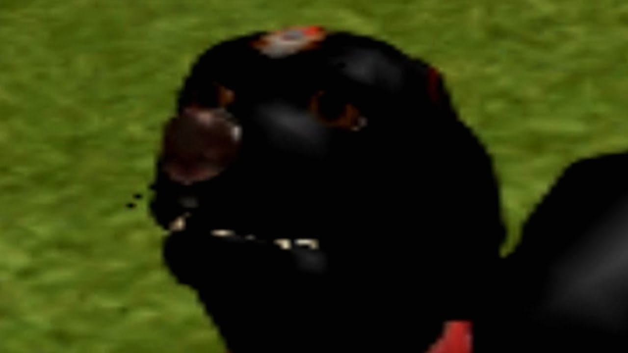 Dog's Life (PS2) - A Friendly Family Game Basically - YouTube