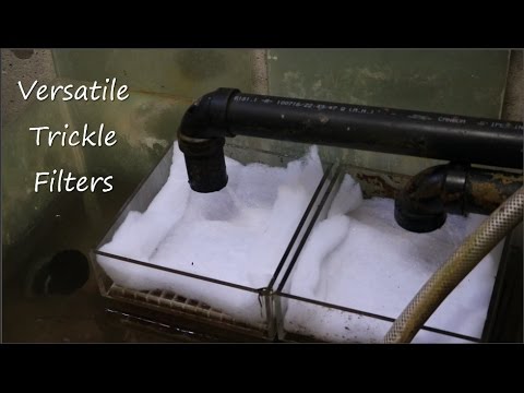 The Versatile Trickle Filter - YouTube