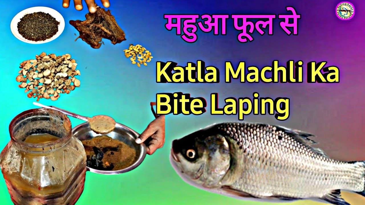 Mahua Phool Se Katla Machli Ka Bite /Top Laping Bananeka Process Very ...