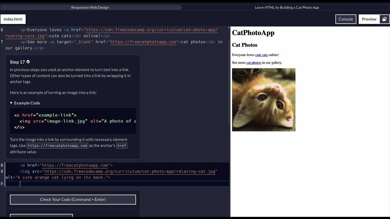 FreeCodeCamp - Responsive Web Design - Step 17 of 71 - Learn HTML by Building a Cat Photo App ...