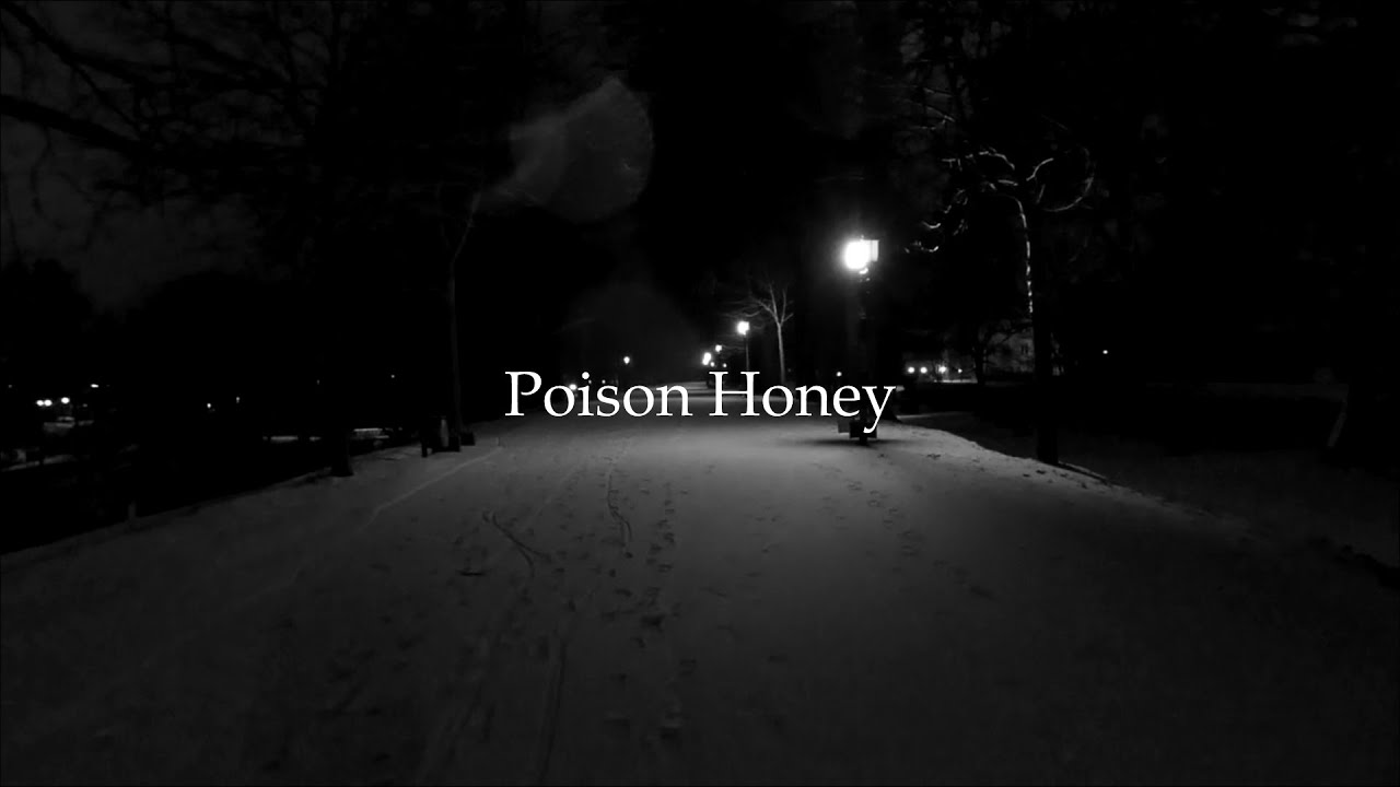 Sciolent - Poison Honey (Official Music Video) - YouTube
