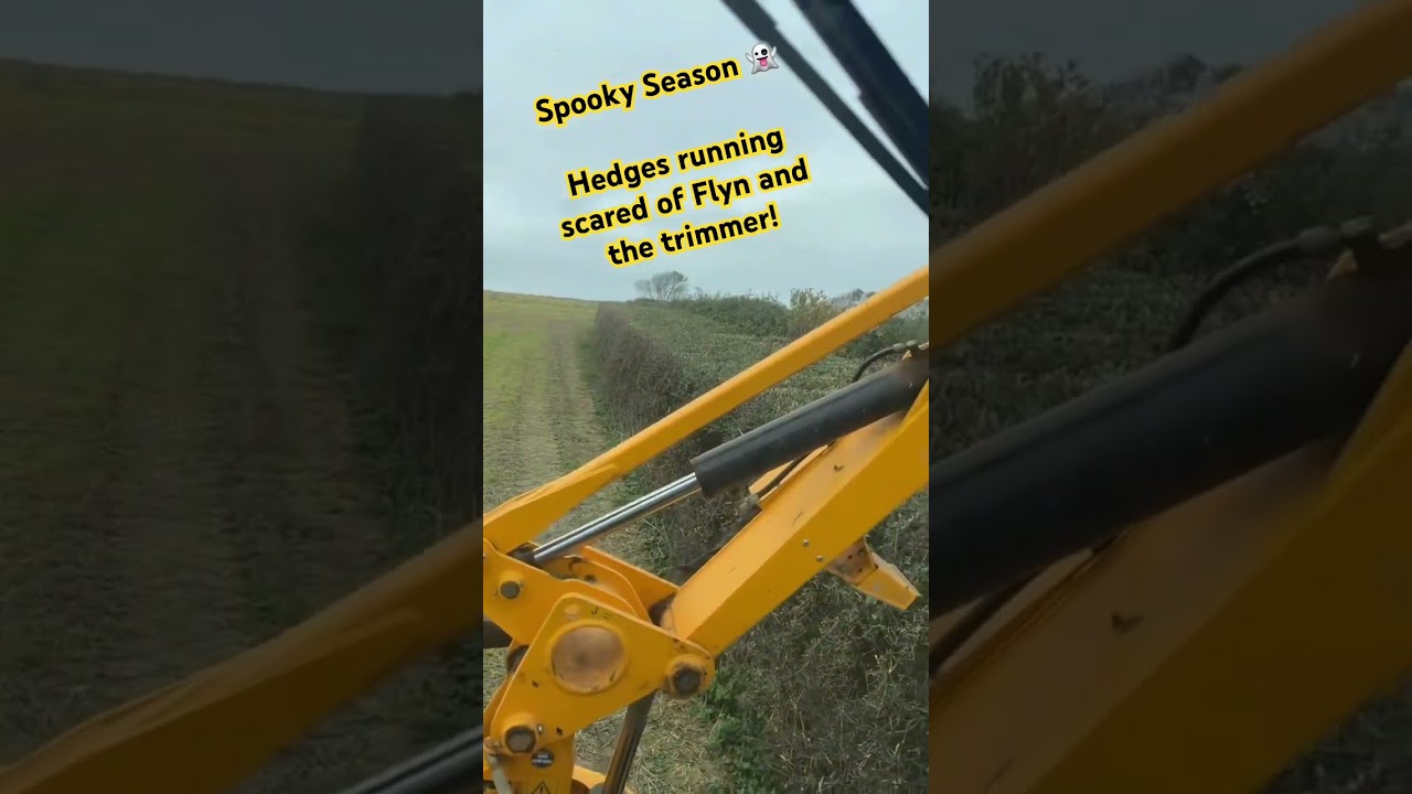 HEDGE TRIMMING SEASON SO FAR! | Steve Lee Agri | The Content Farm