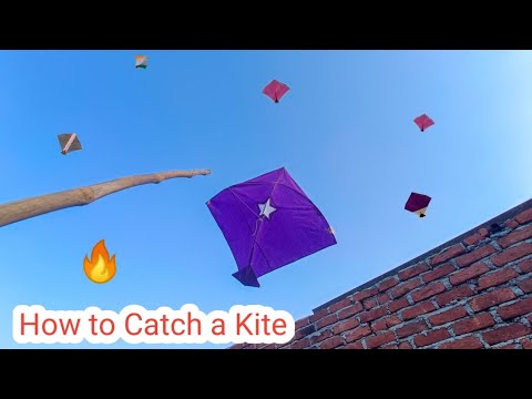How to Catch a Kite | Kite Cutting & Looting together | - YouTube