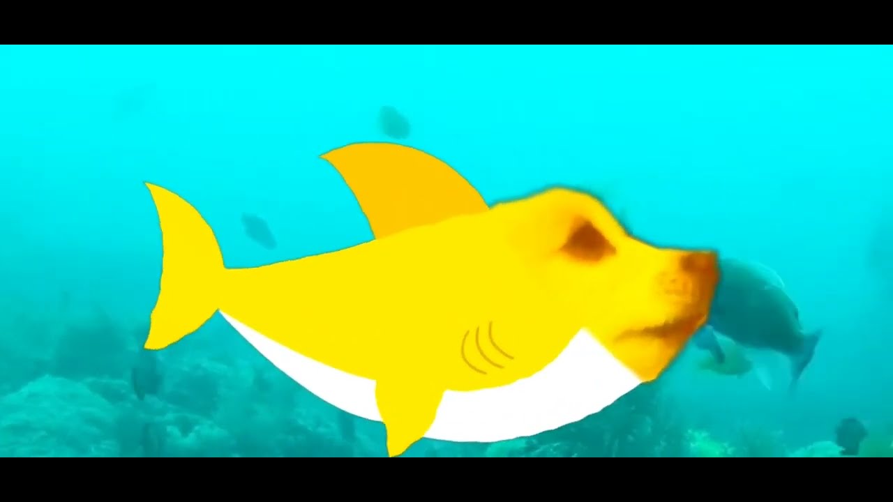 Gabe the Dog (Baby Shark Cover) 4K (Shark Family) Remix Stranger Baby ...