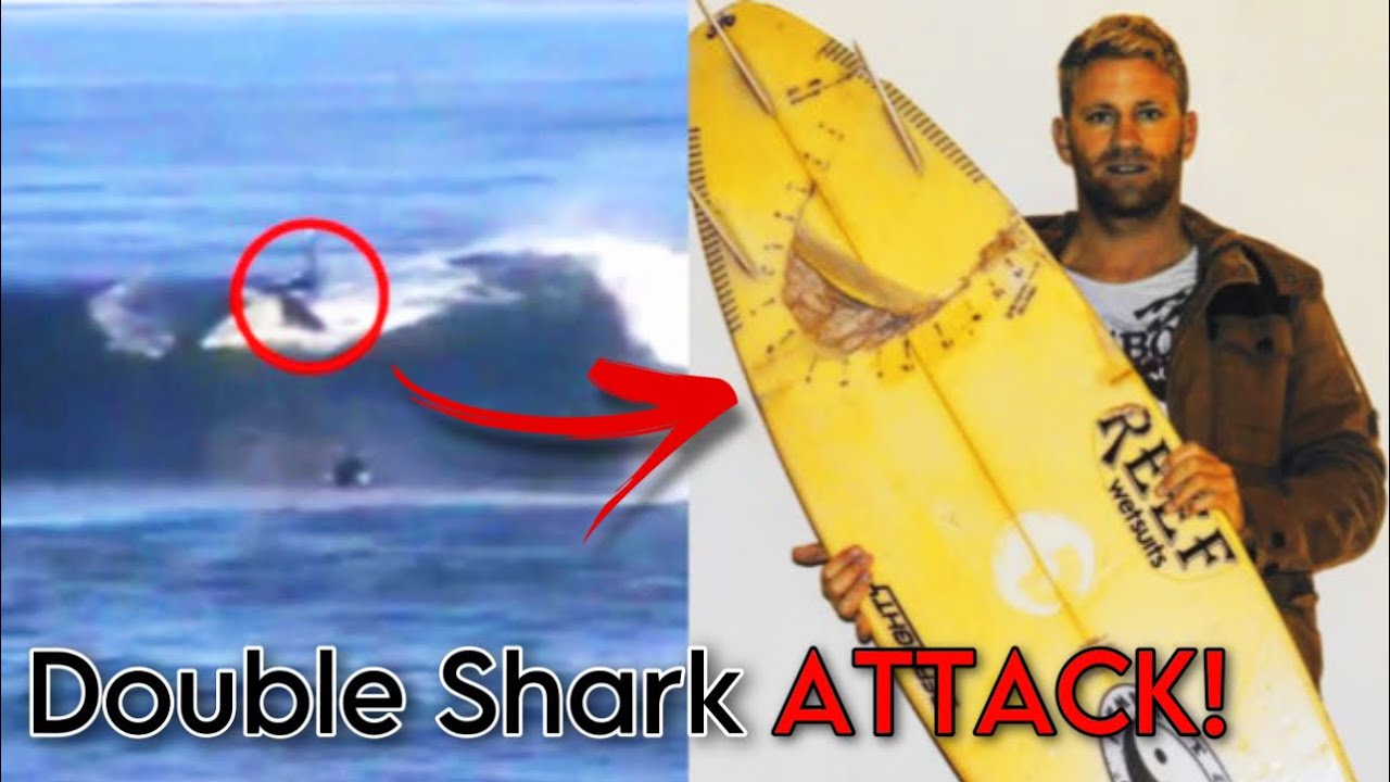 Survival Stories NEARLY Unbelievable! Only DOUBLE SHARK Attack EVER ...