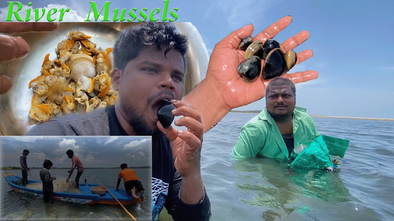 River Mussels | Village Hunt and Cooking | Healthy River food - YouTube
