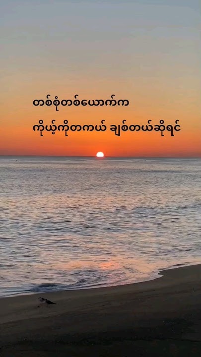 ကိုယ့်ကိုတကယ်ချစ်တဲ့သူဆိုရင် Shortsfeed Lovestatus Love Shorts My