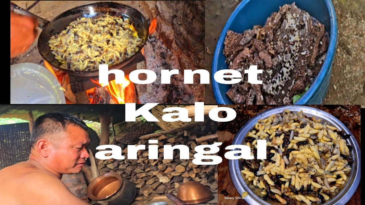 Kalo Aringal(Asian black giant hornet)Hunting lamjung nepal #hornets # ...