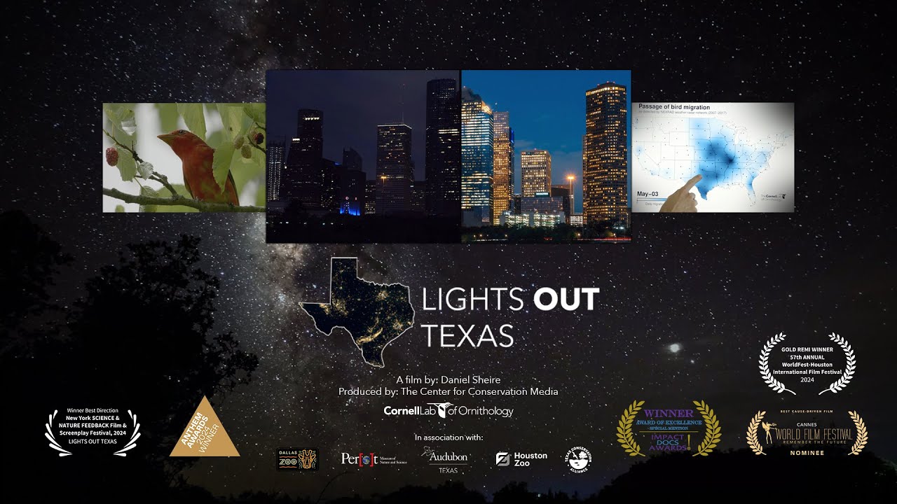 Lights Out Texas Trailer - YouTube