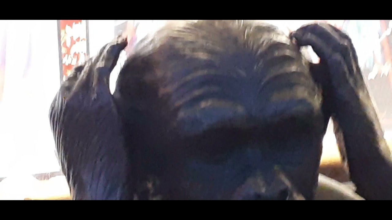 See No Truth, Hear No Truth and Speak No Truth - YouTube