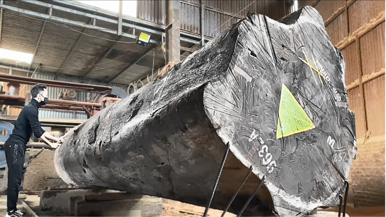 Incredible planks from a rare cedar tree - YouTube