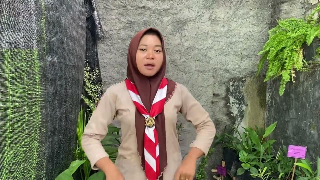 perkenalan bahasa inggris - YouTube