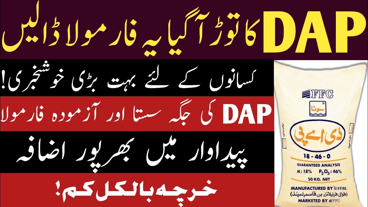 How To Reduce usage Of DAP Fertilizer|DAP Alternate Fertilizer|Decrease ...