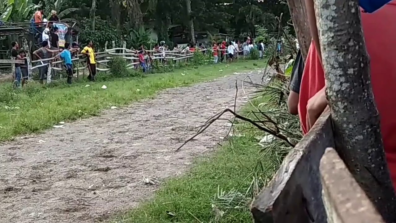 Pacuan Kuda Lapangan Bundar Praya Loteng - YouTube