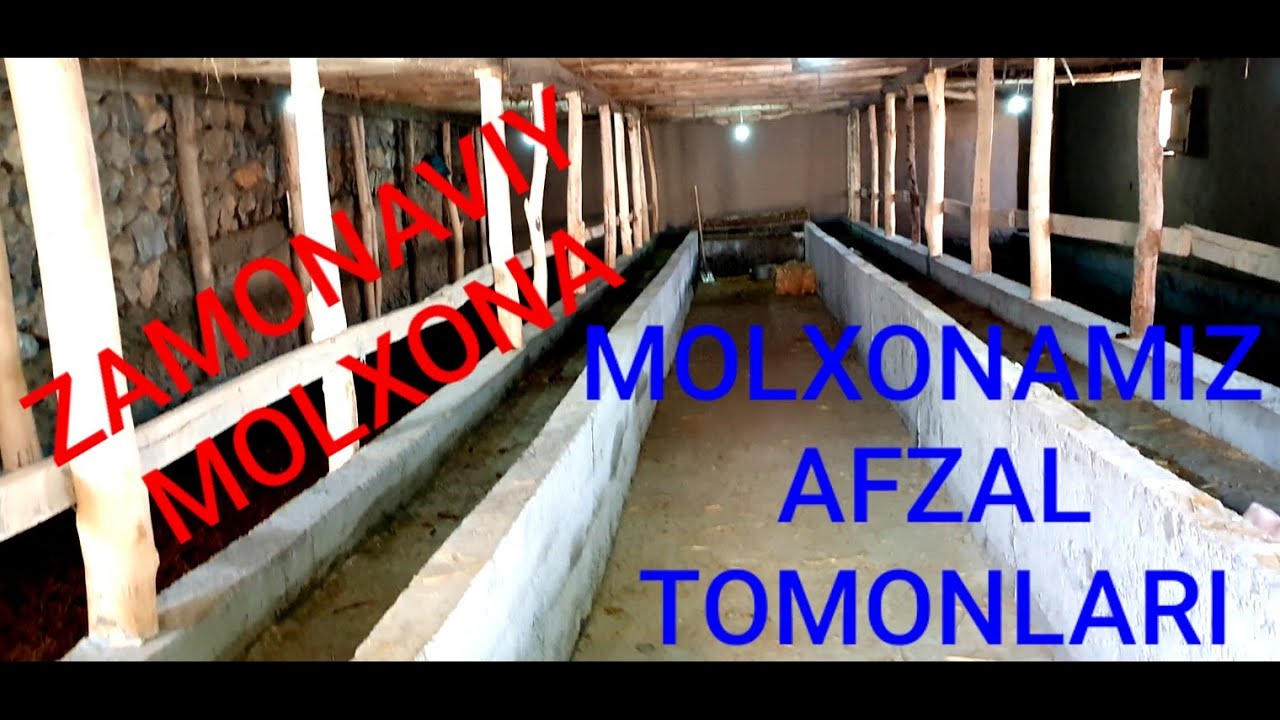 Zamonaviy molxona замонавий молхона - YouTube