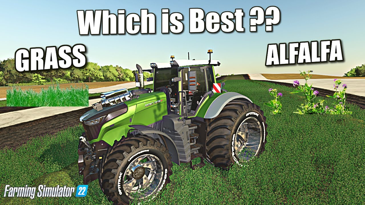 Which one is Best? Grass or Alfalfa..Lets Test. Farming Simulator 22 ...