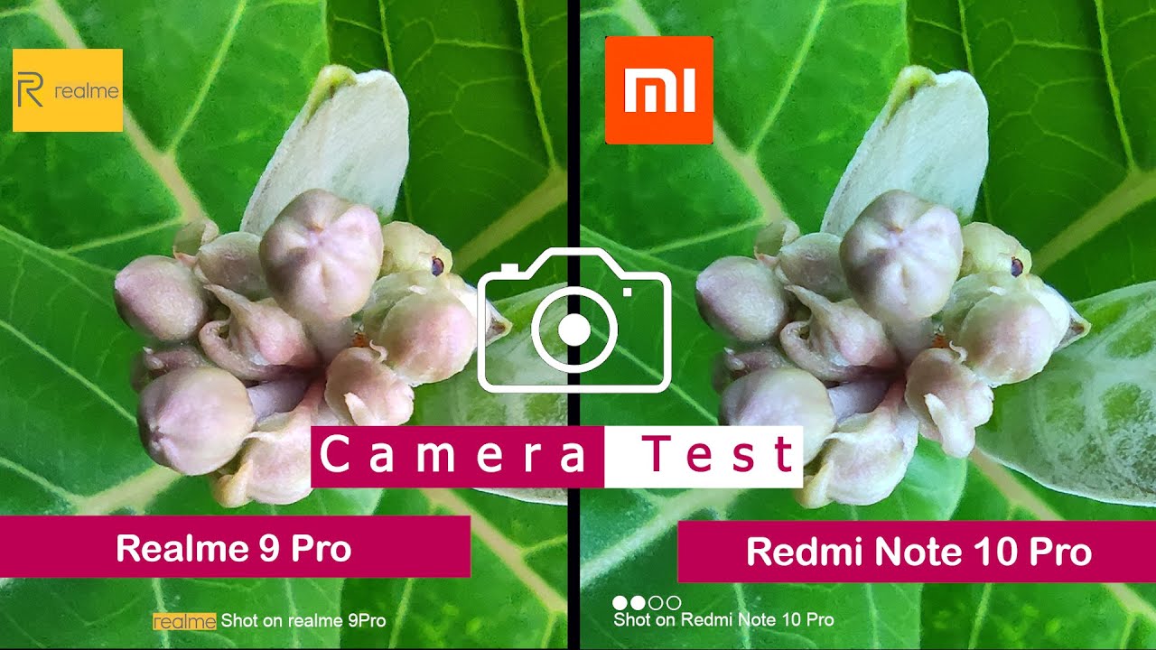 Realme 9 Pro vs Redmi Note 10 Pro | Camera Comparison | Camera Test ...