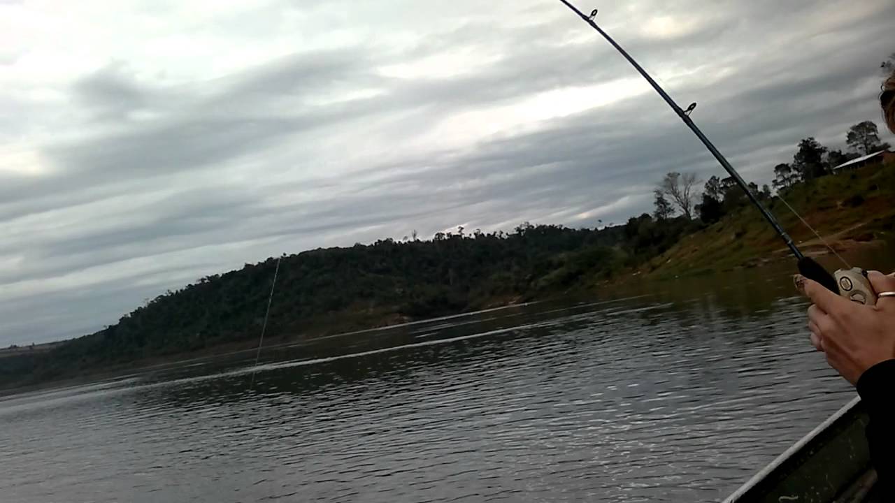 pescaria de armado 3 kg rio parana - YouTube