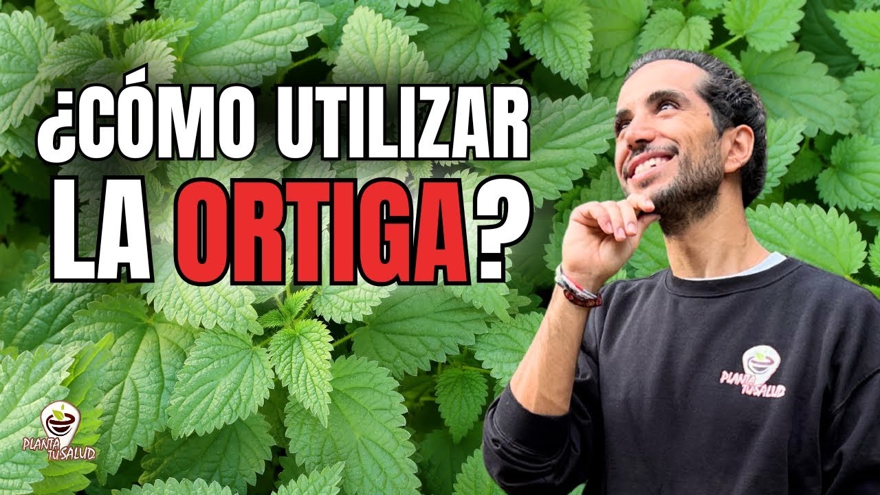 Ortiga🌿, para qué sirve y cómo prepararla. 4+1 ejemplos de uso medicinales - YouTube