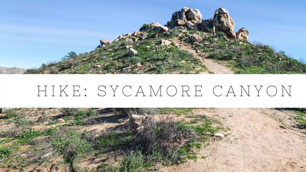Hike: Sycamore Canyon in Riverside, CA - YouTube